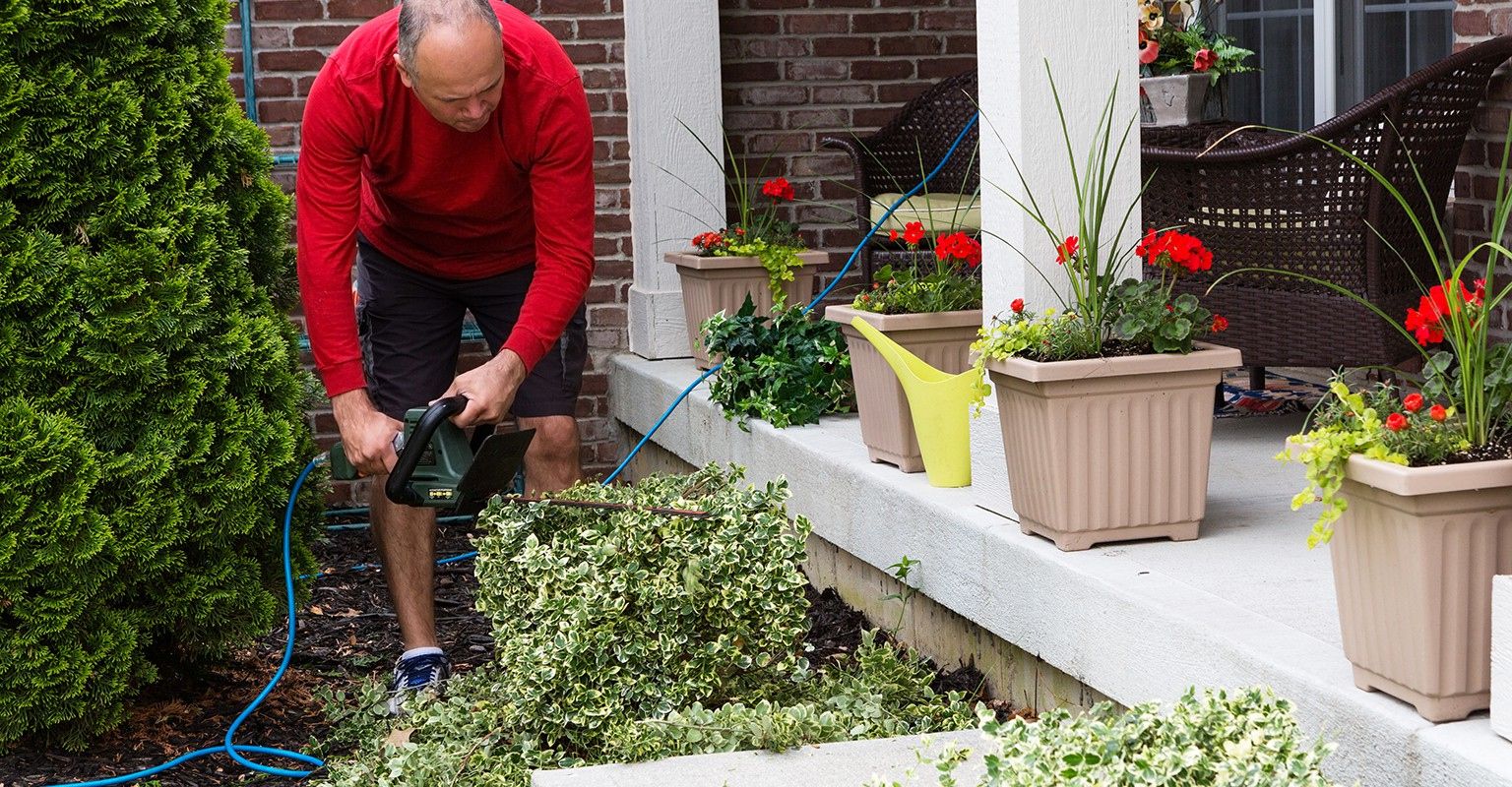 Best Shrub Removal Services — Updated December 2025