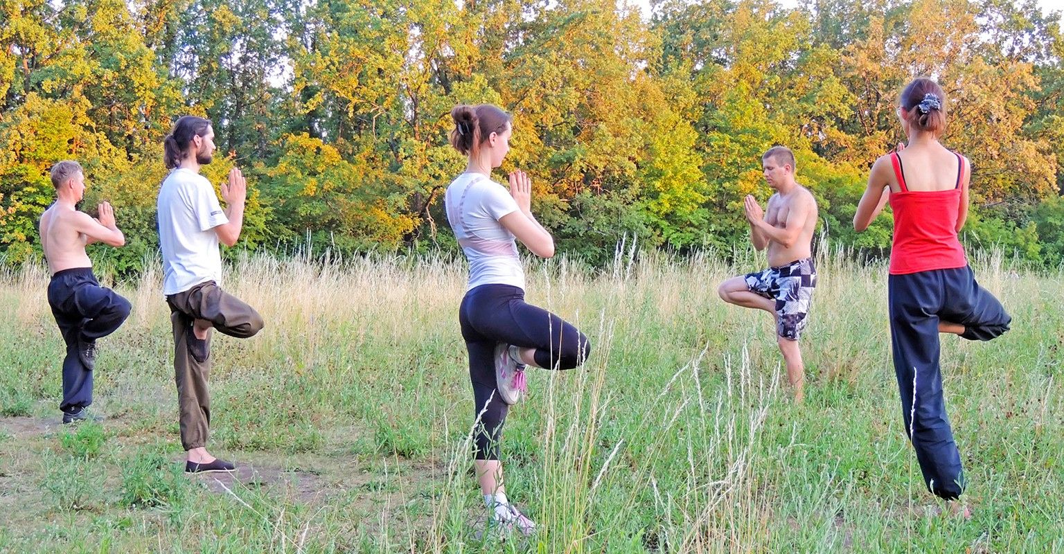 The 10 Best Qigong Lessons Near Me with Free Estimates 