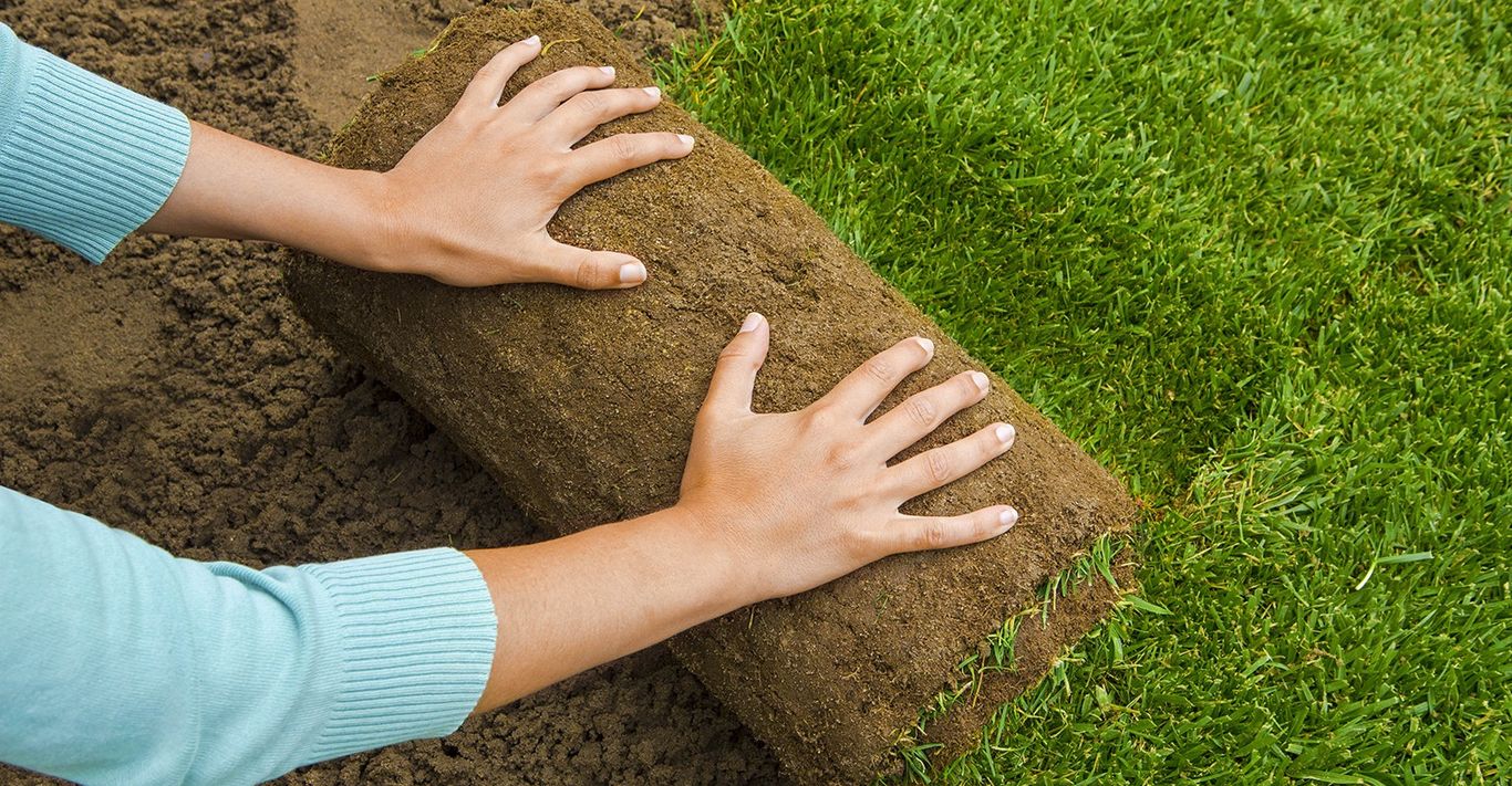 The 10 Best Turf Companies in Atlanta, GA (with Free Estimates)