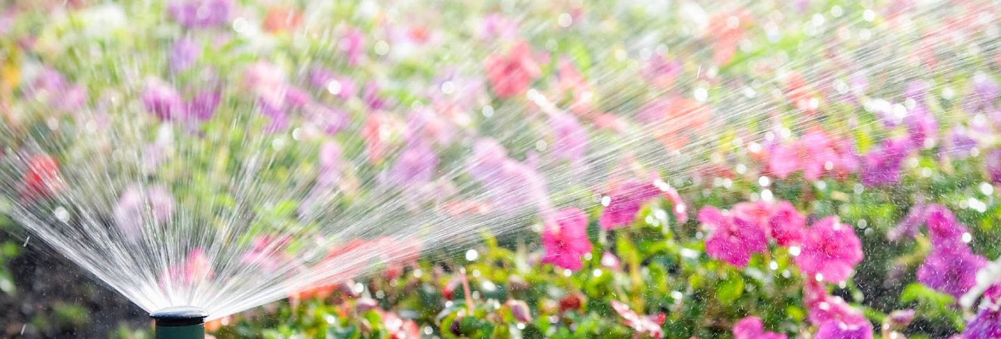 The 10 Best Sprinkler System Winterization Services Near Me