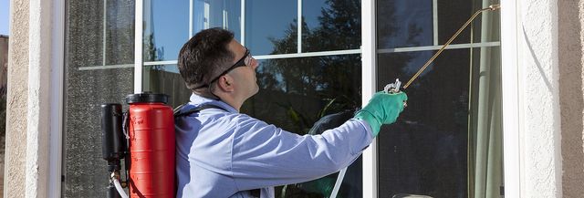 The 10 Best Termite Companies in San Diego, CA (with Free Estimates)