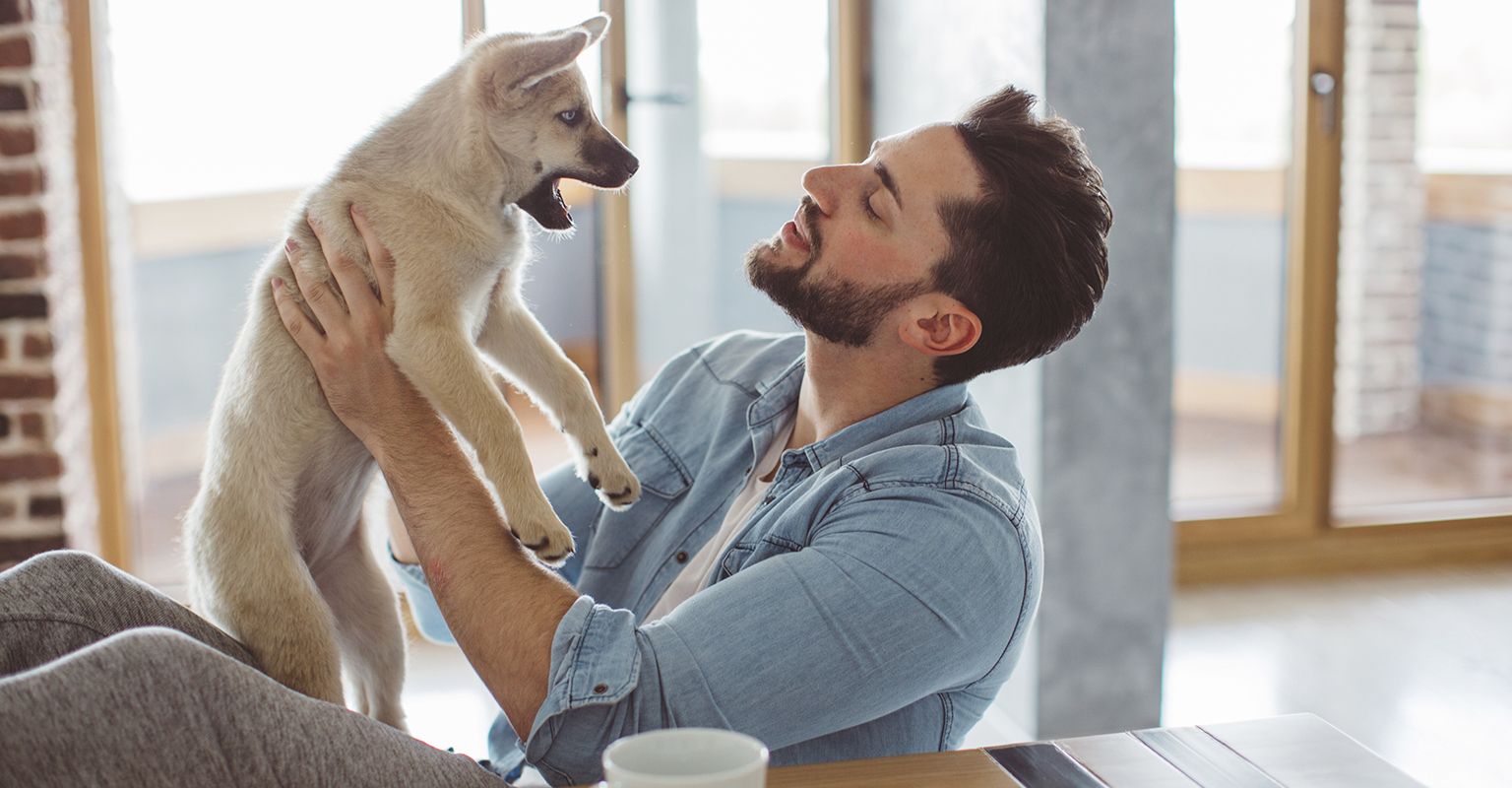 The 10 Best In Home Dog Sitters Near Me with Free Estimates 