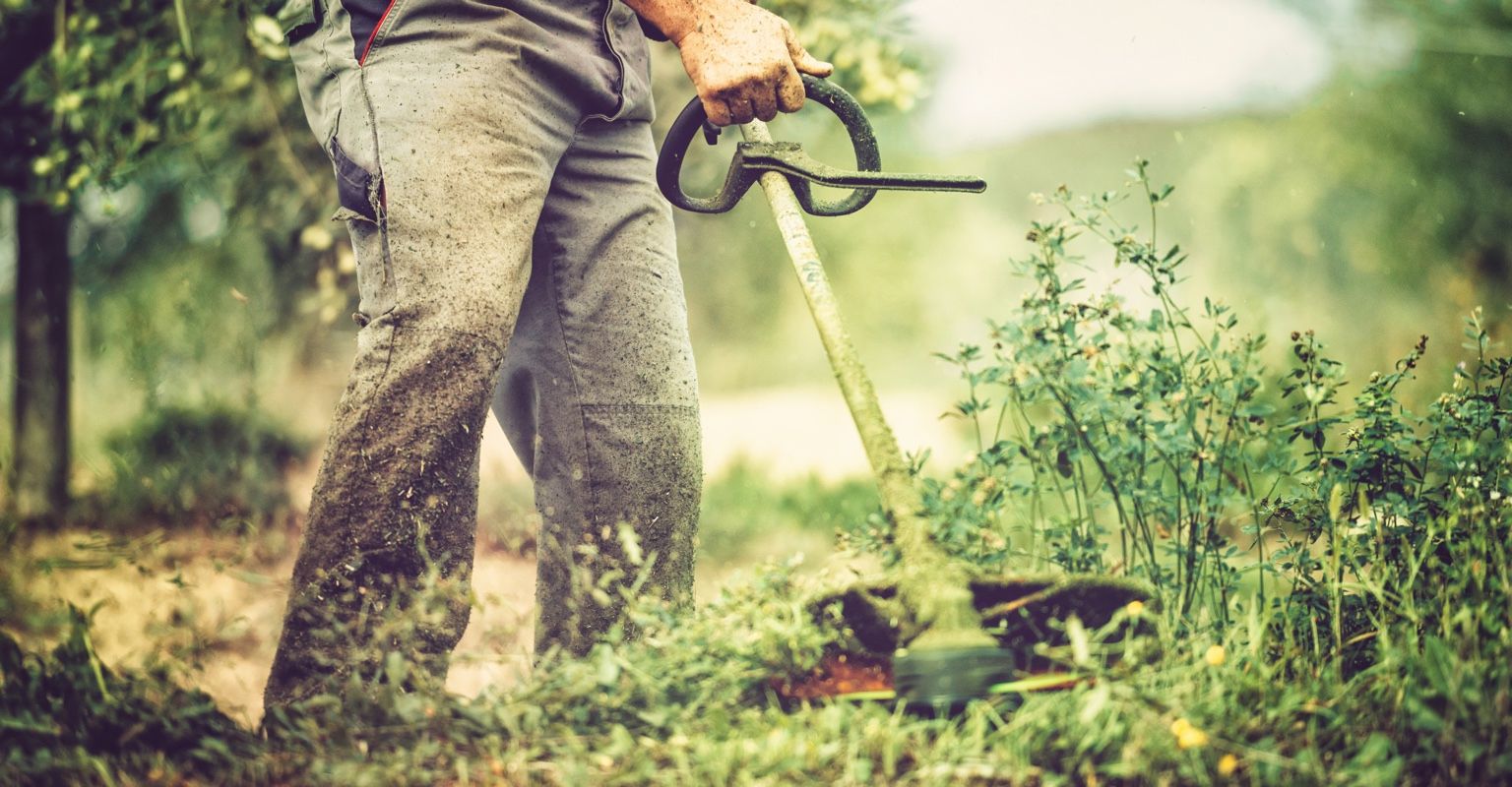 Best Weeding Services — Updated January 2026