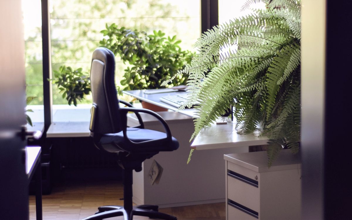 The 10 Best Document Scanning Services Near Me