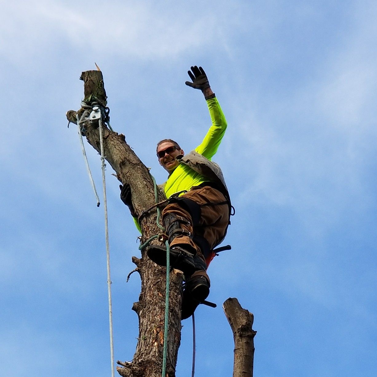 Advanced Tree Service | Somerset, MA | Thumbtack