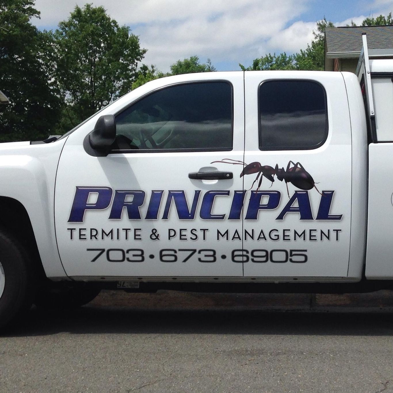 Principal Termite & Pest Management | Sterling, VA