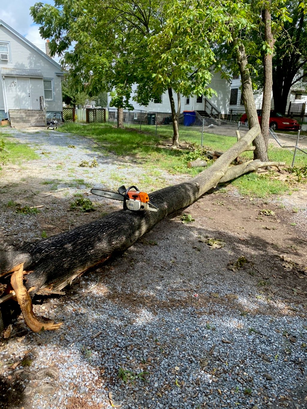 The 10 Best Tree Trimming Services in Baltimore, MD 2021