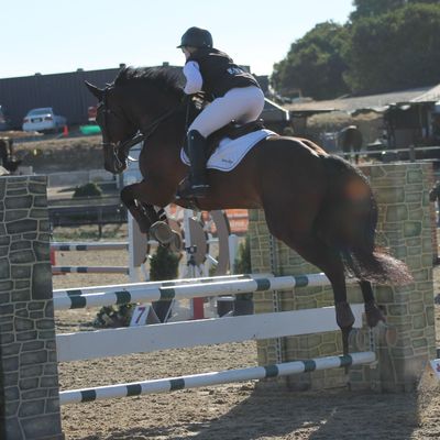 The 10 Best Horseback Riding Lessons Near Me (with Free Estimates)