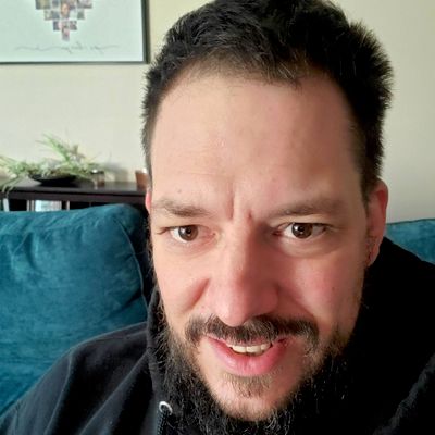 The 10 Best Window Screen Companies Near Me (with Free Estimates)