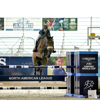 The 10 Best Horseback Riding Lessons Near Me (with Free Estimates)