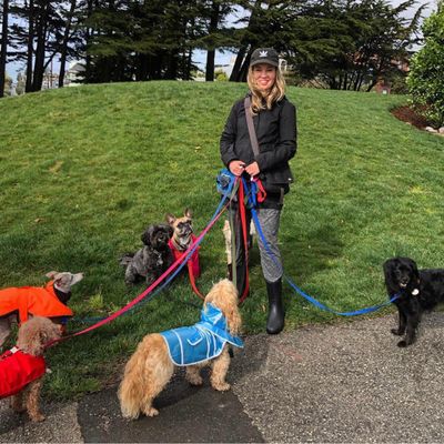 The 10 Best Dog Walking Services Near Me (with Free Estimates)