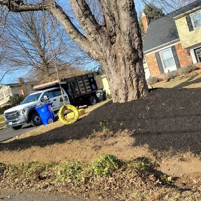 The 10 Best Tree Removal Companies Near Me (with Free Estimates)