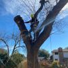 Freedom Tree Service | Universal City, TX | Thumbtack