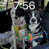 Kim's Kutz | Romeoville, IL | Thumbtack