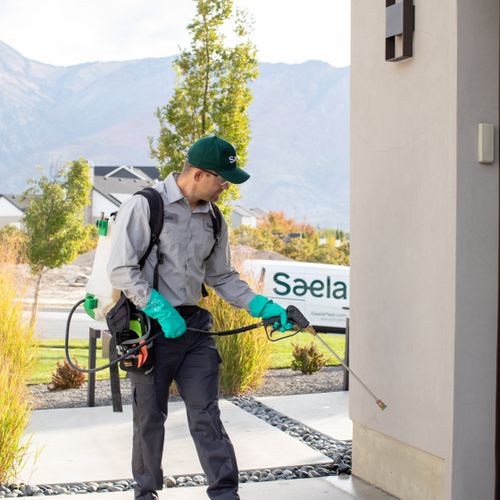 Saela Pest Control - Seattle North | Lynnwood, WA