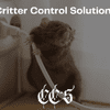 Critter Control Solutions | Somers, NY | Thumbtack