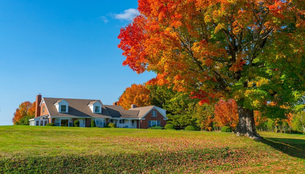 2025 Fall Lawn Care Tips Thumbtack