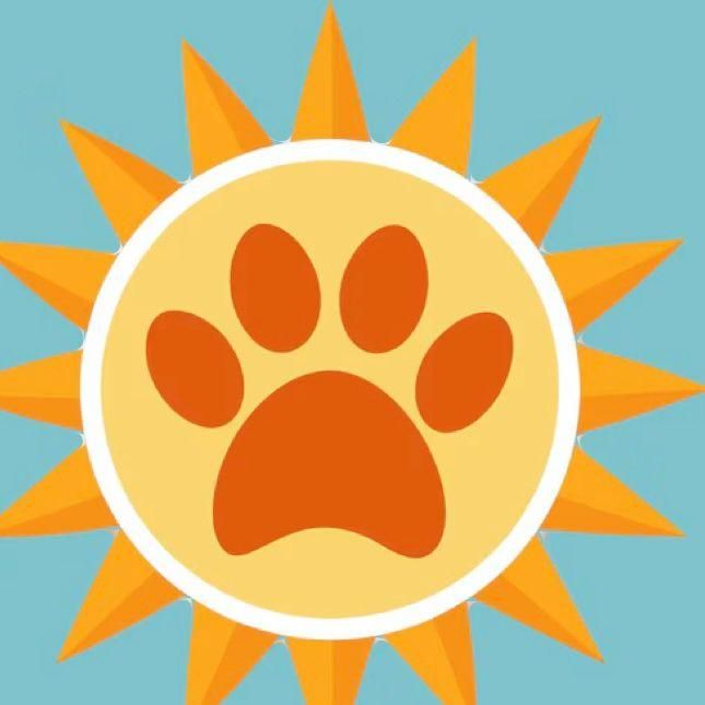Paws In The Sun | Montgomery, TX | Thumbtack