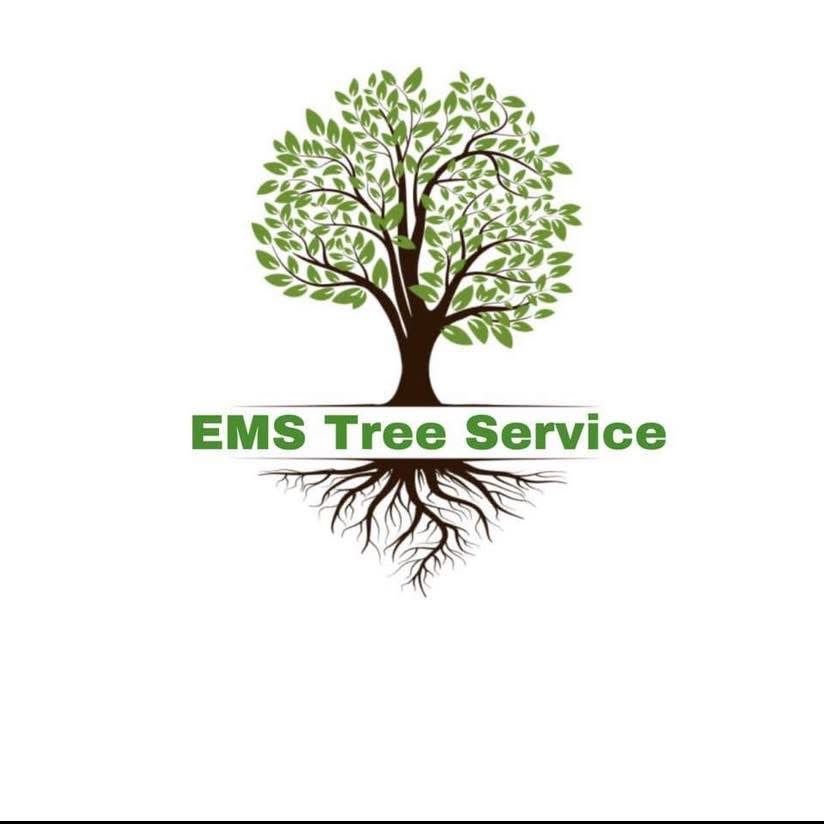Ems Tree Service | Houston, TX | Thumbtack
