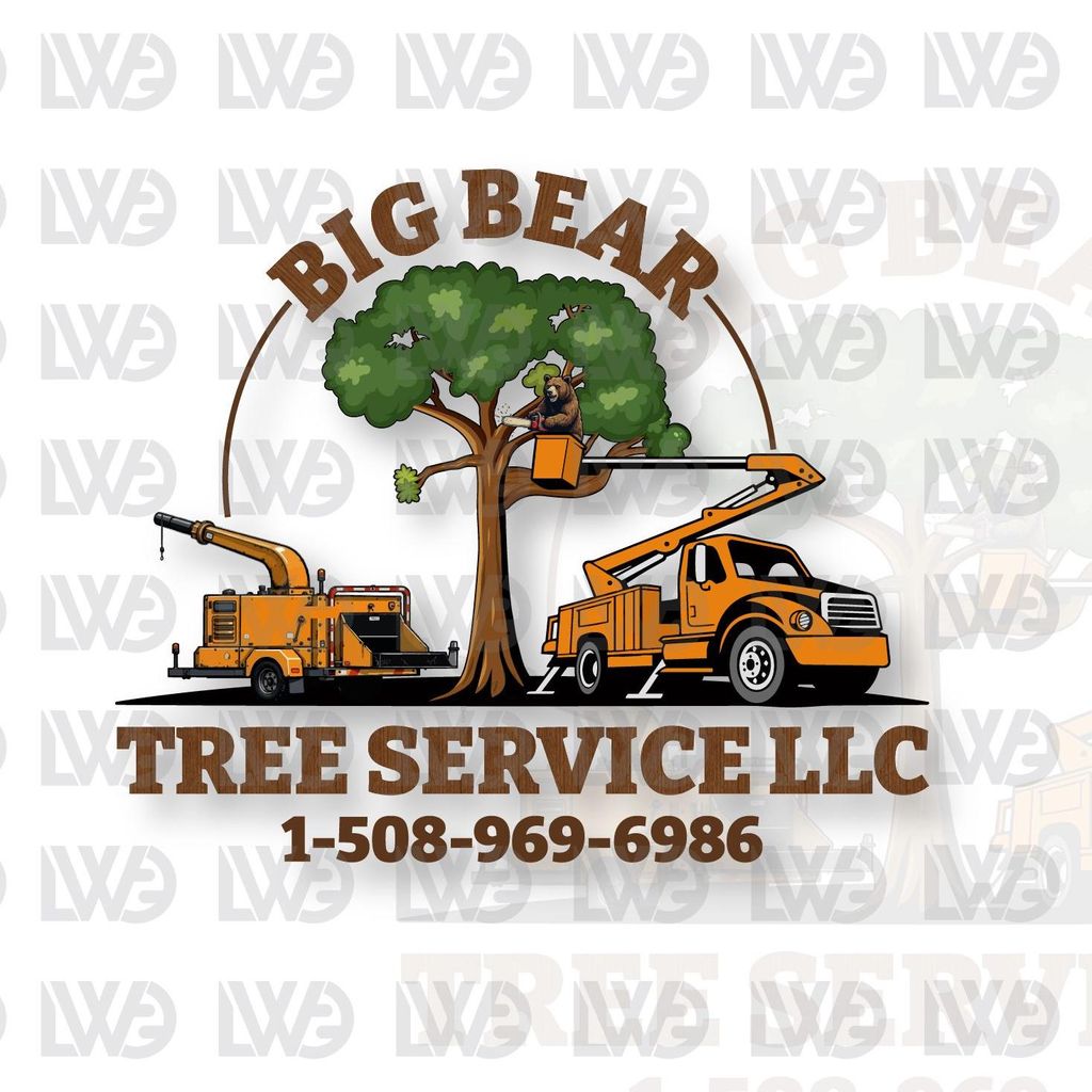 Big Bear Tree Service Llc | Westport, MA | Thumbtack