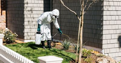 The 10 Best Exterminators in Seattle, WA (with Free Estimates)