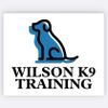 Wilson K9 Training | Phoenix, AZ | Thumbtack