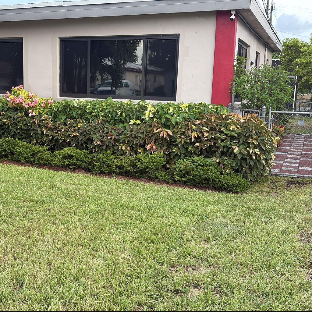 Grass Kissers Usa, Llc | Lauderdale Lakes , FL | Thumbtack