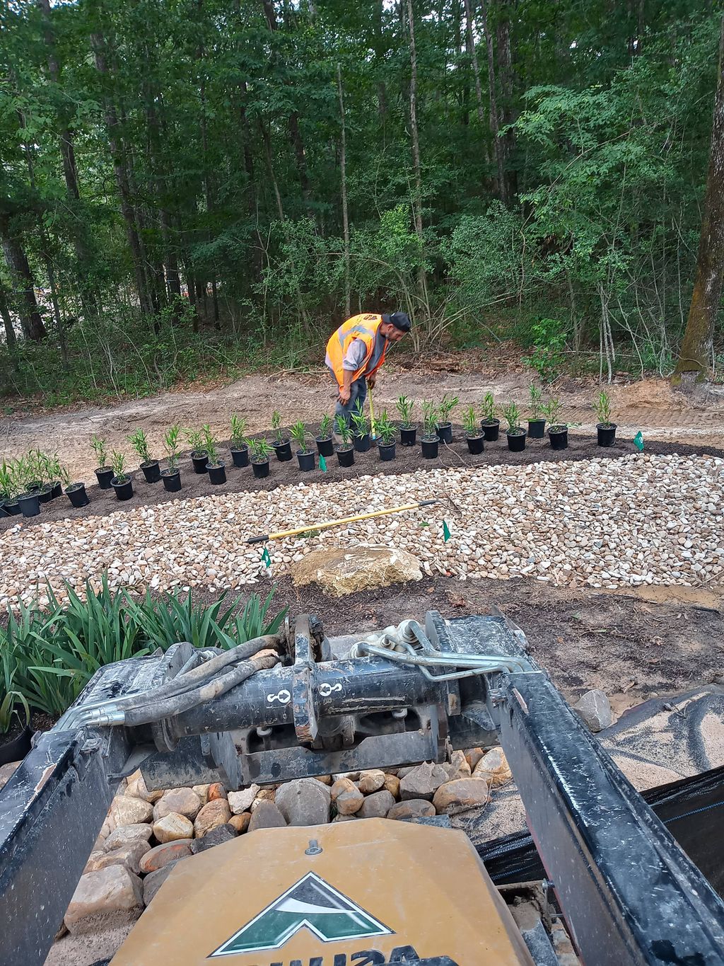 Homero Cortez Landscape | San Antonio, TX | Thumbtack
